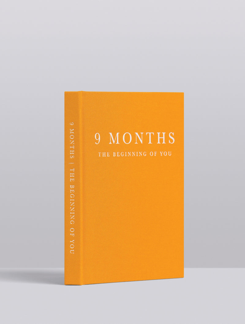 9 Months - Pregnancy Journal - Write To Me AU