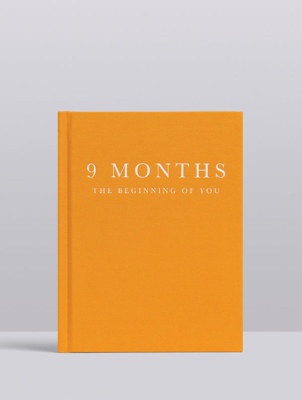 9 Months - Pregnancy Journal - Write To Me AU