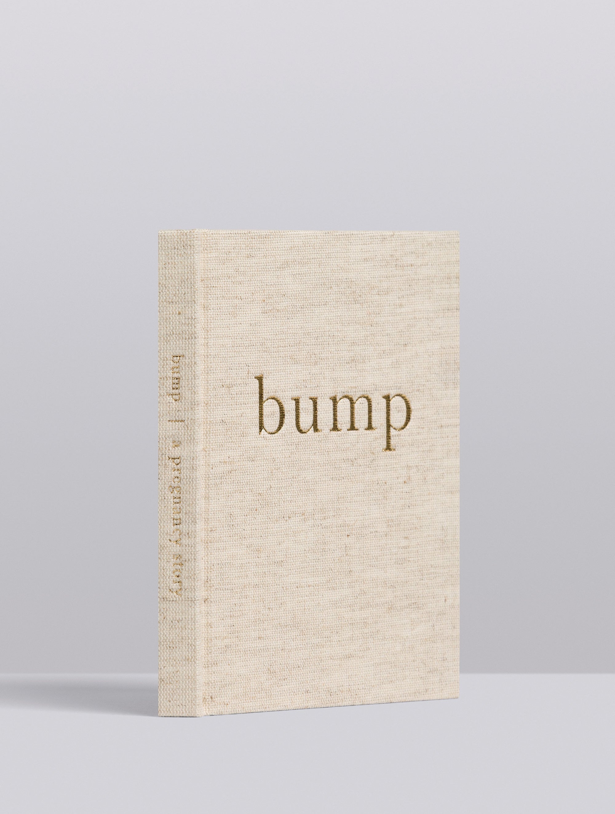 A Pregnancy Story - Bump Journal - Write To Me AU