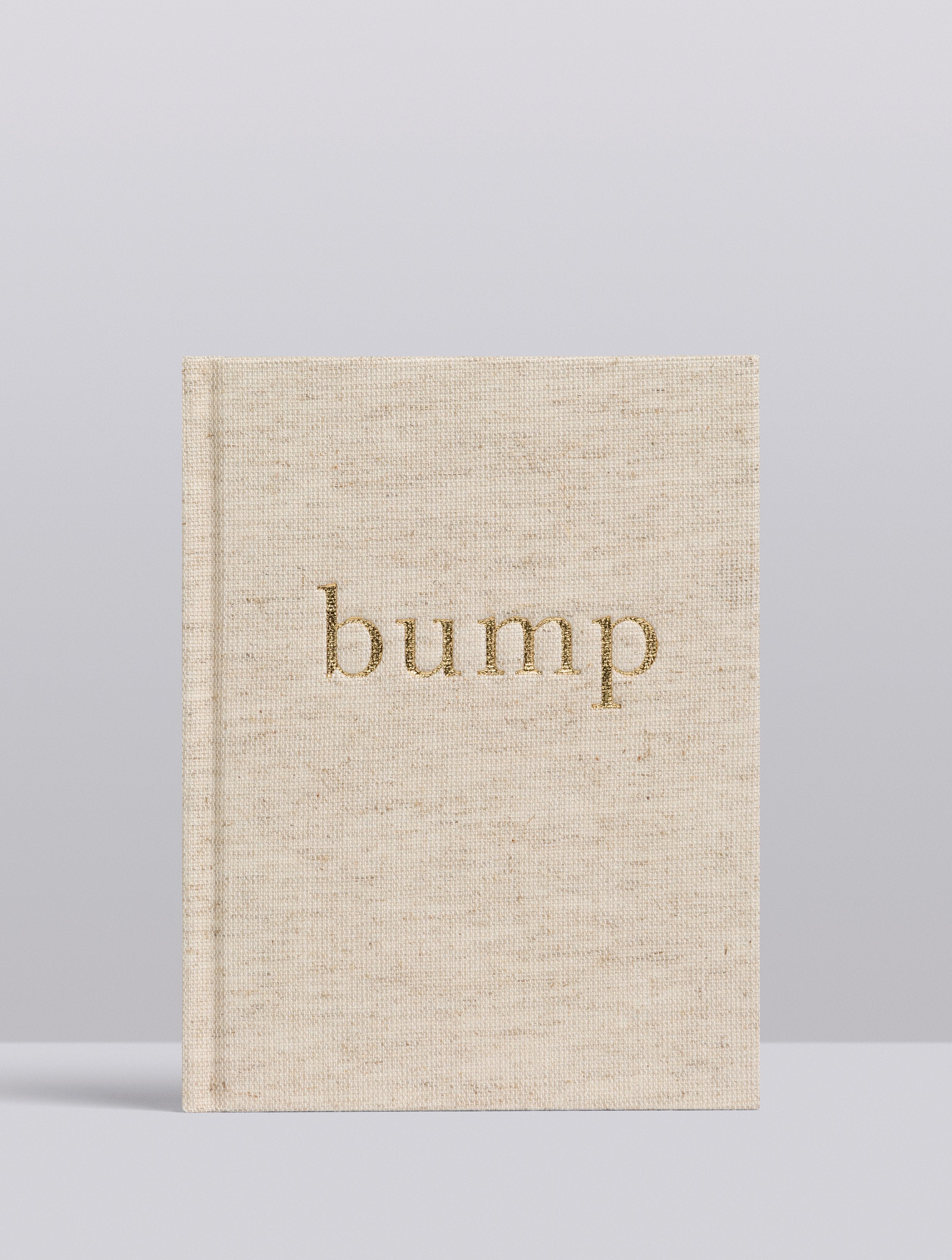 A Pregnancy Story - Bump Journal - Write To Me AU